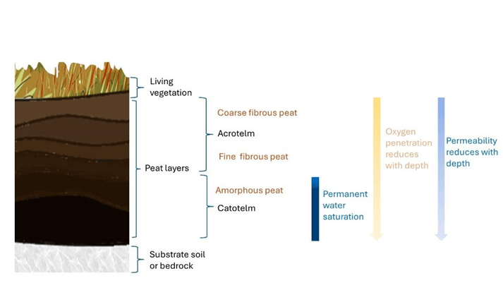 Floating Roads On Peat Guidance For Construction Tensar